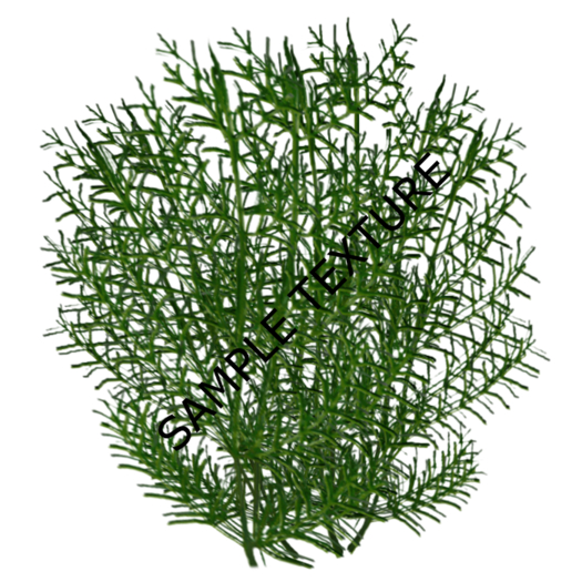 Second Life Marketplace - ALPHA TEXTURE - Bush Second Life Marketplace - ALPHA TEXTURE - Bush